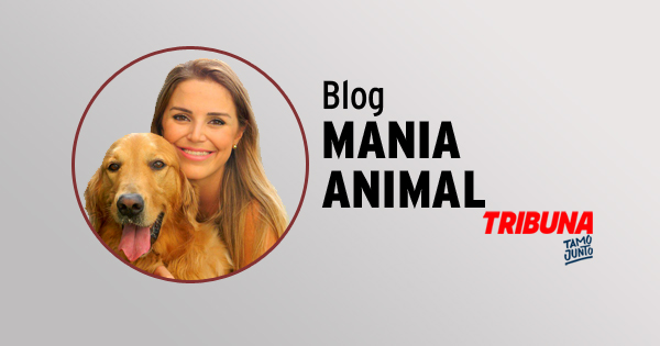Mania Animal | Blogs | Tribuna PR