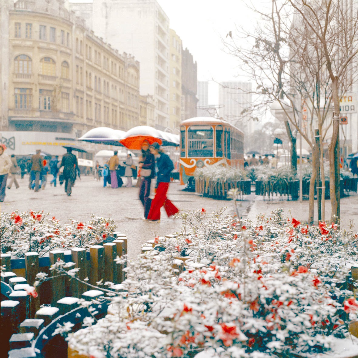 Se Curitiba é a capital mais fria do Brasil, por que nunca neva em ...