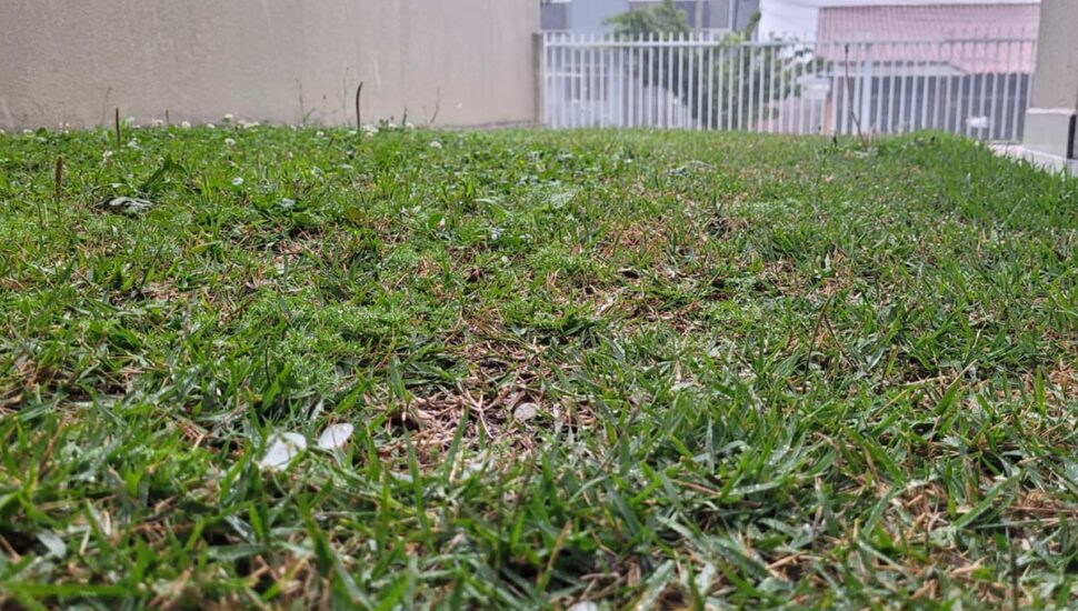 Curitiba registra temporal nesta quarta-feira e chove granizo em vários ...