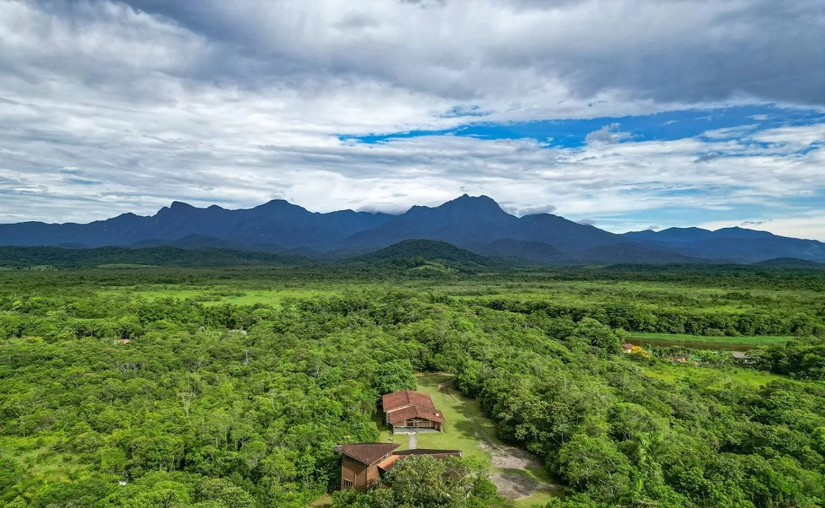 Programa quer salvar 50 hectares de mata nativa e 77 espécies no ...