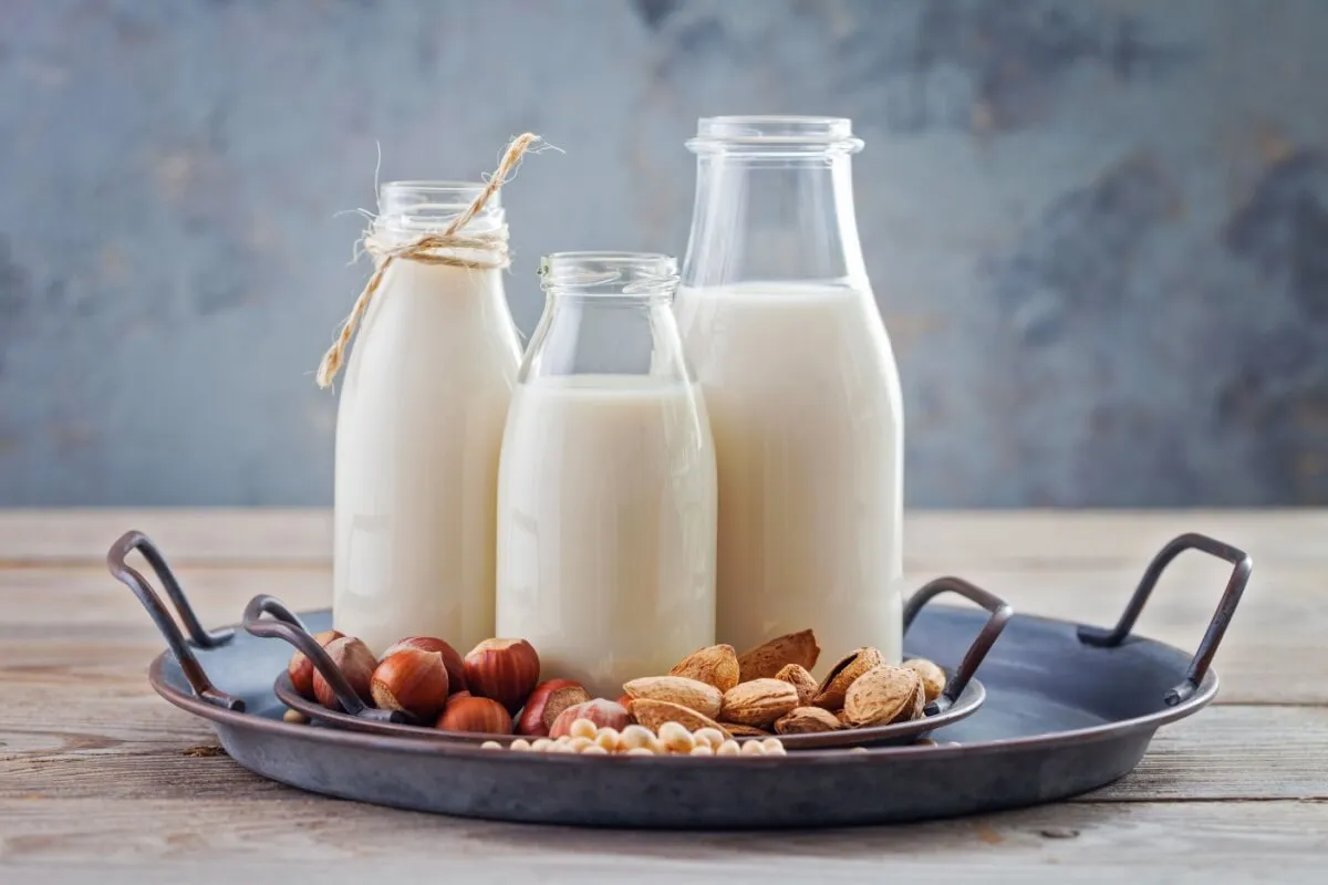 Intolerante à lactose? Conheça 4 bebidas vegetais para substituir o ...