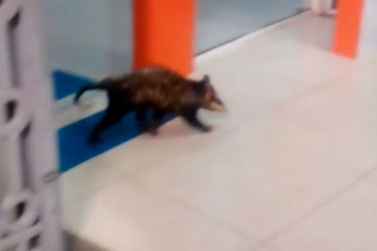 Leitores flagram visitante ilustre em banco no Centro de Curitiba ...