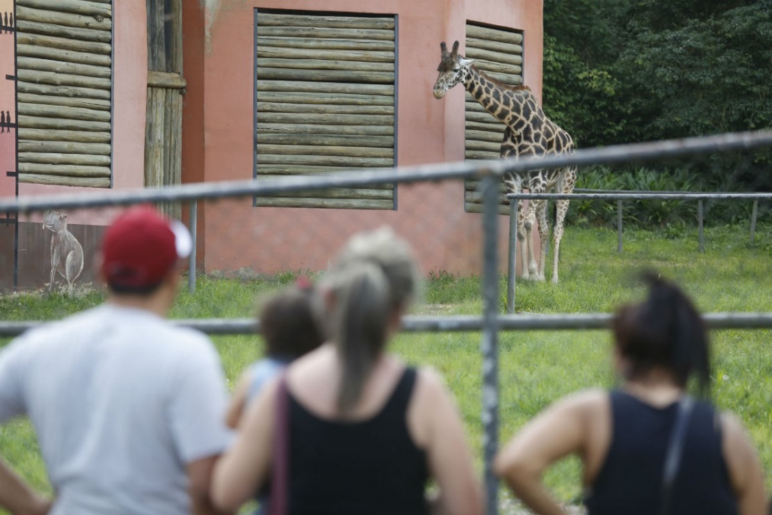 Zoológico de Curitiba é opção para curtir com a família | Tribuna PR