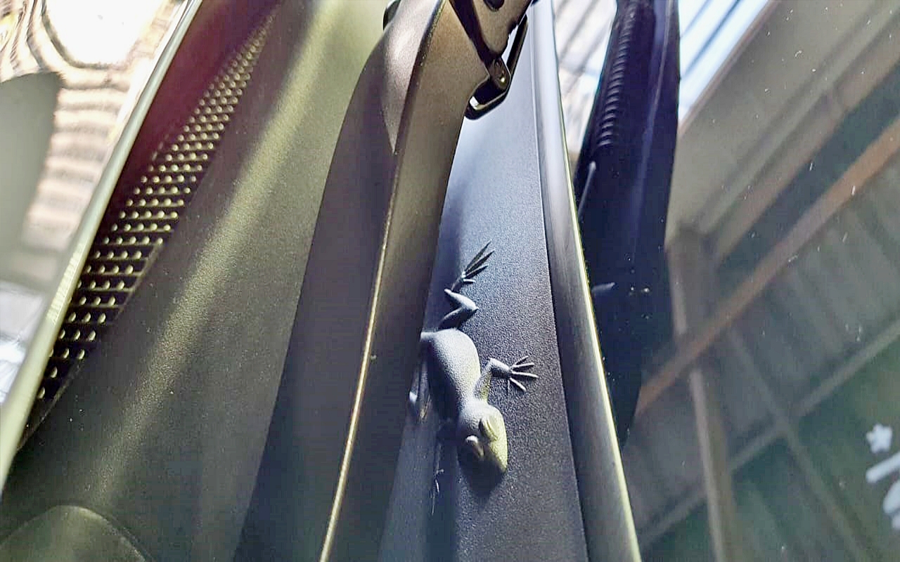 Salamandra encontrada no Jeep Compass? Conheça os Easter Eggs