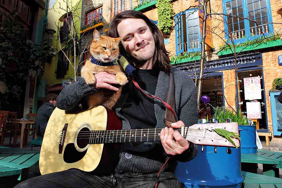 Conheça a história de um gato chamado Bob e de como ele salvou seu ...