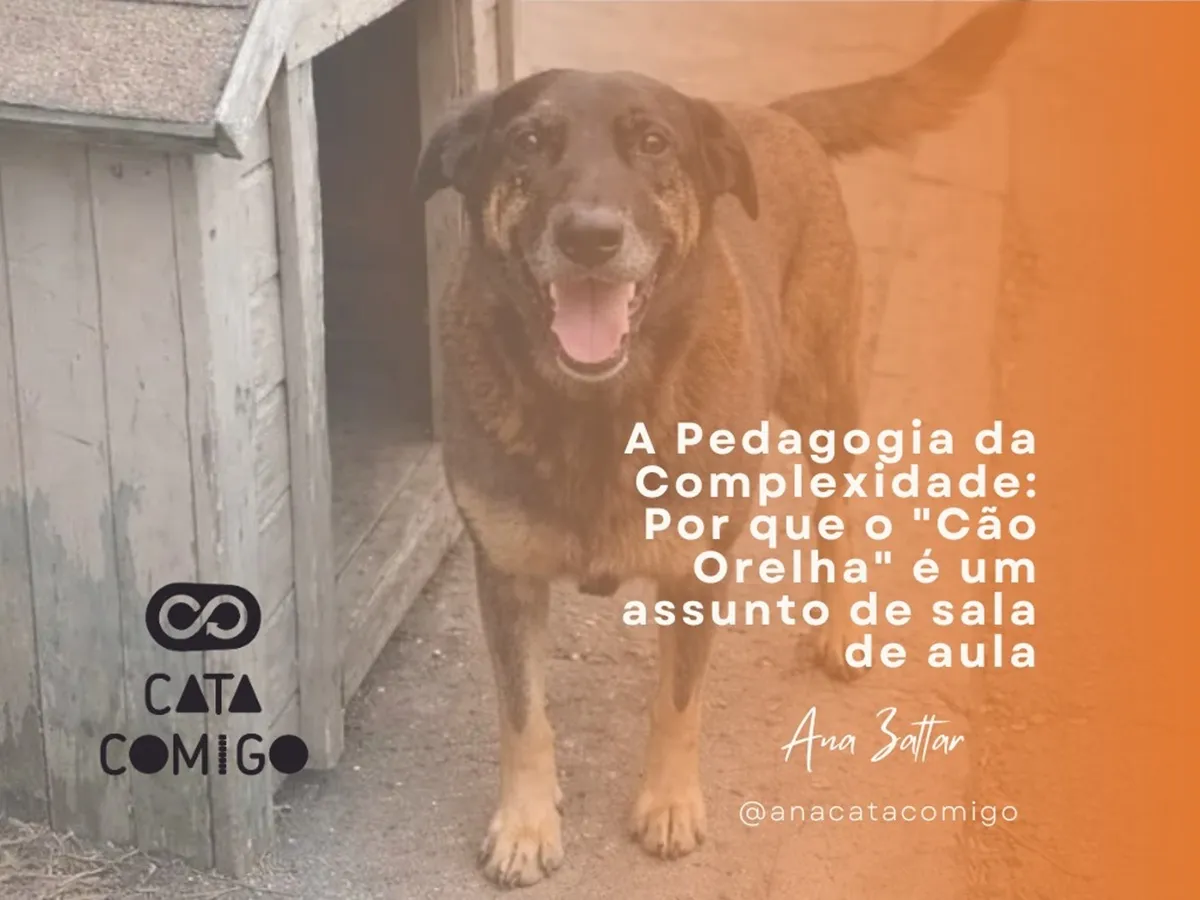 Por que o "Cão Orelha" é um assunto de sala de aula?